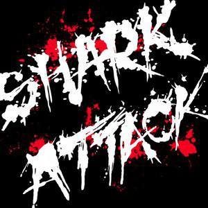 Shark Attack "Discography" 12" Vinyl